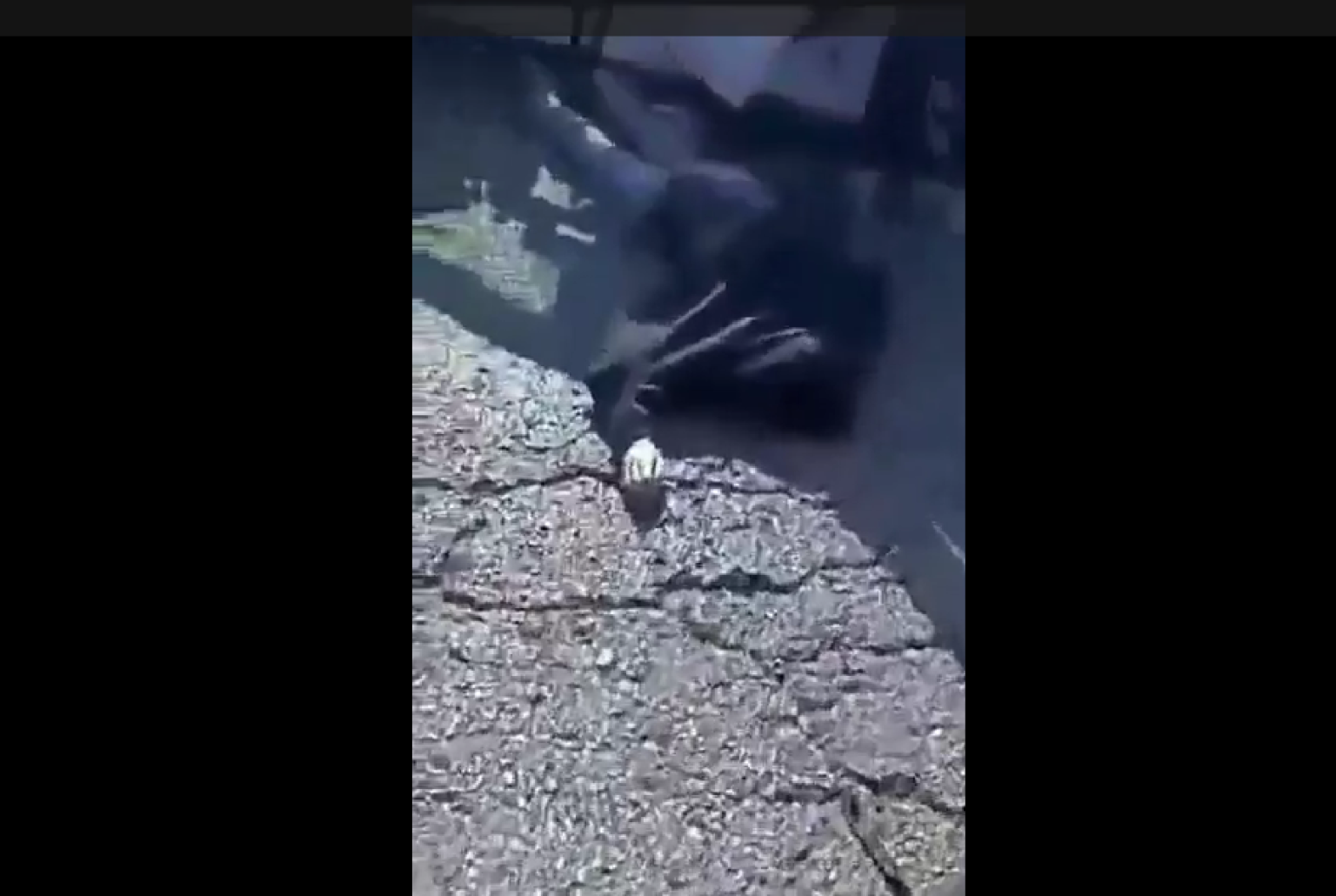 Hamas Video Website - Raw Footage - Palestinian Terrorism Exposed